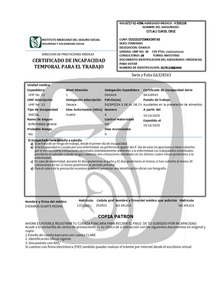 732201891-622180827-Incapacidad-Imss-Editable Nuevo | PDF