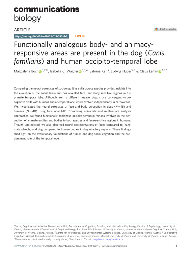 Functionally Analogous Body - and Animacyresponsive Areas Are Present ...
