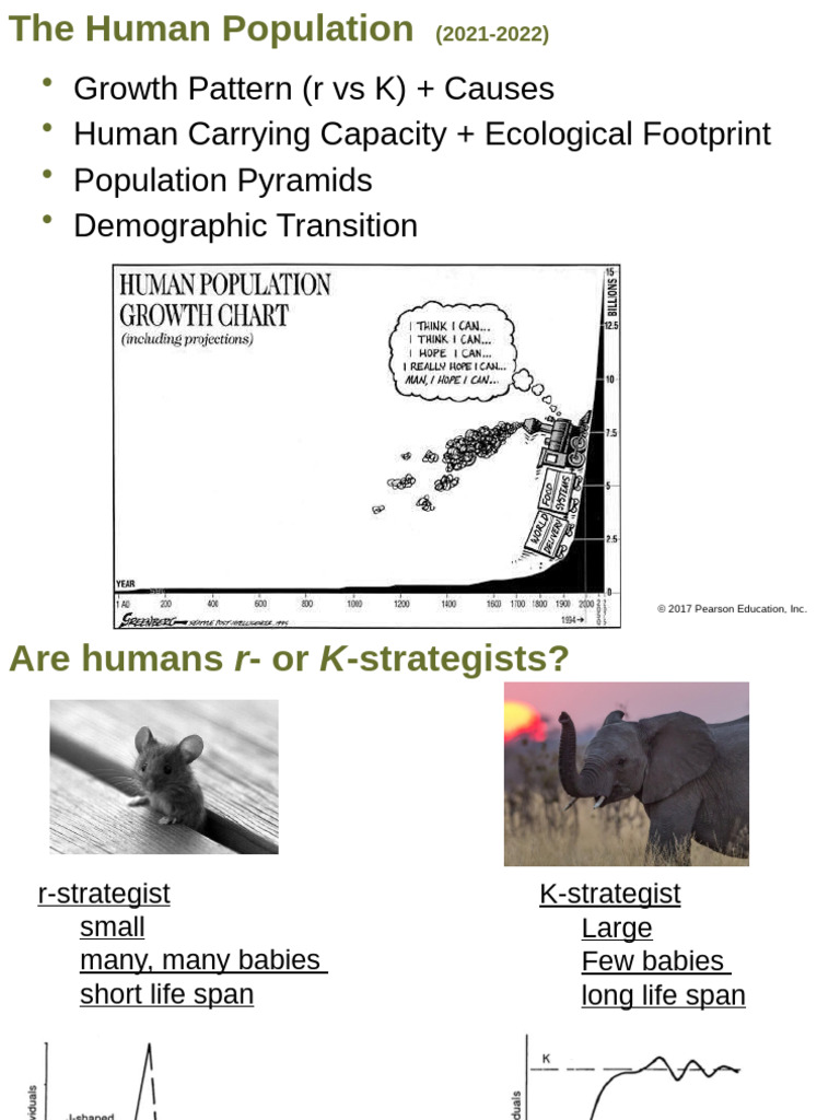 Human Population Dynamics Explained | PDF | Population | Natural ...