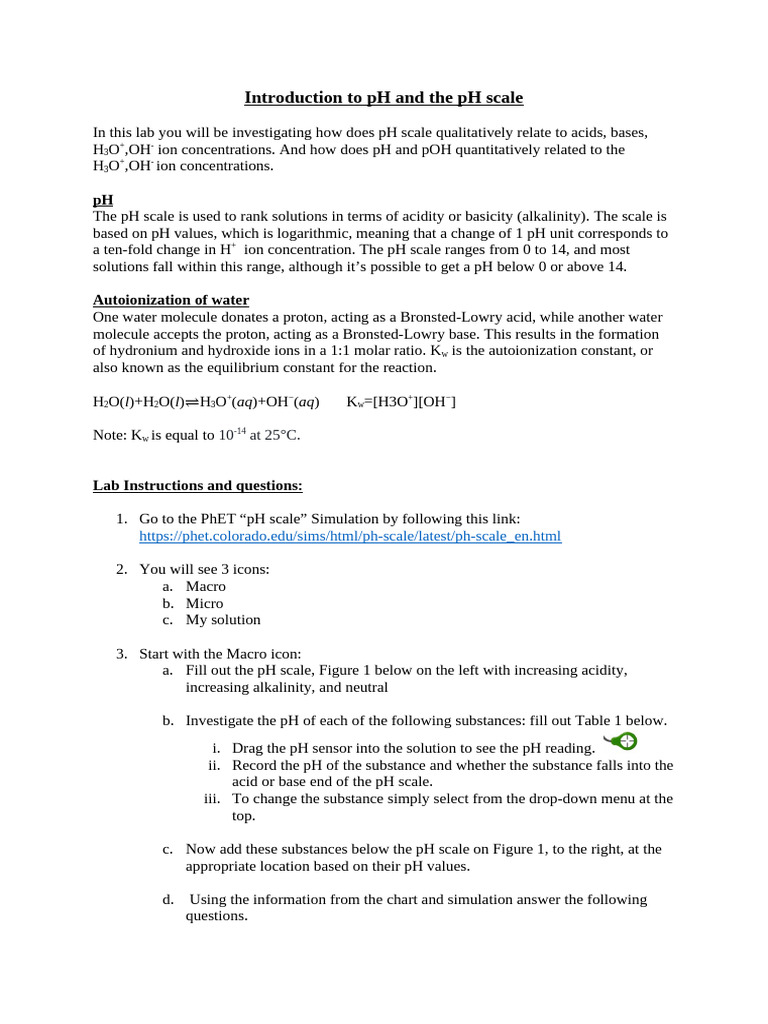Understanding pH Scale and Ion Concentrations | PDF | Ph | Acid
