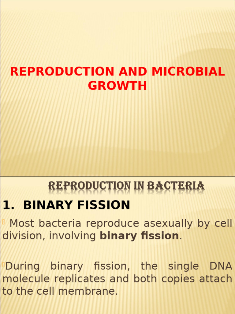 BIO 002 Topic 3 Part 6 Microbial Reproduction[1] | PDF | Fungus | Spore
