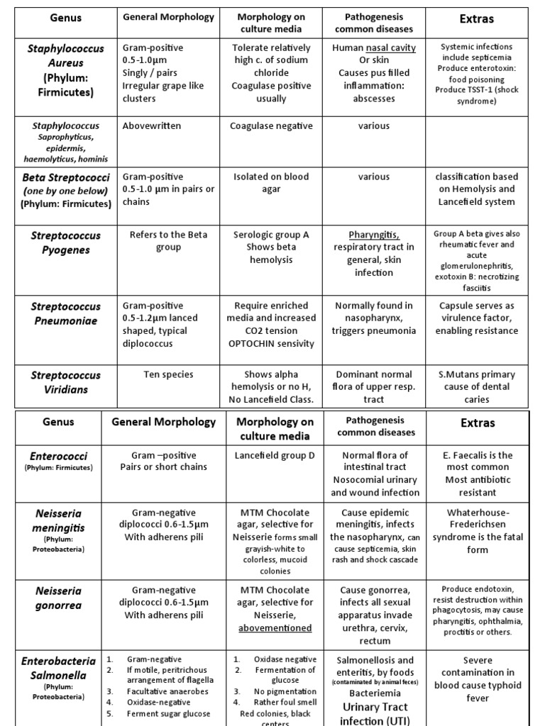 Micro Final Bacteria Table | Streptococcus | Prokaryote