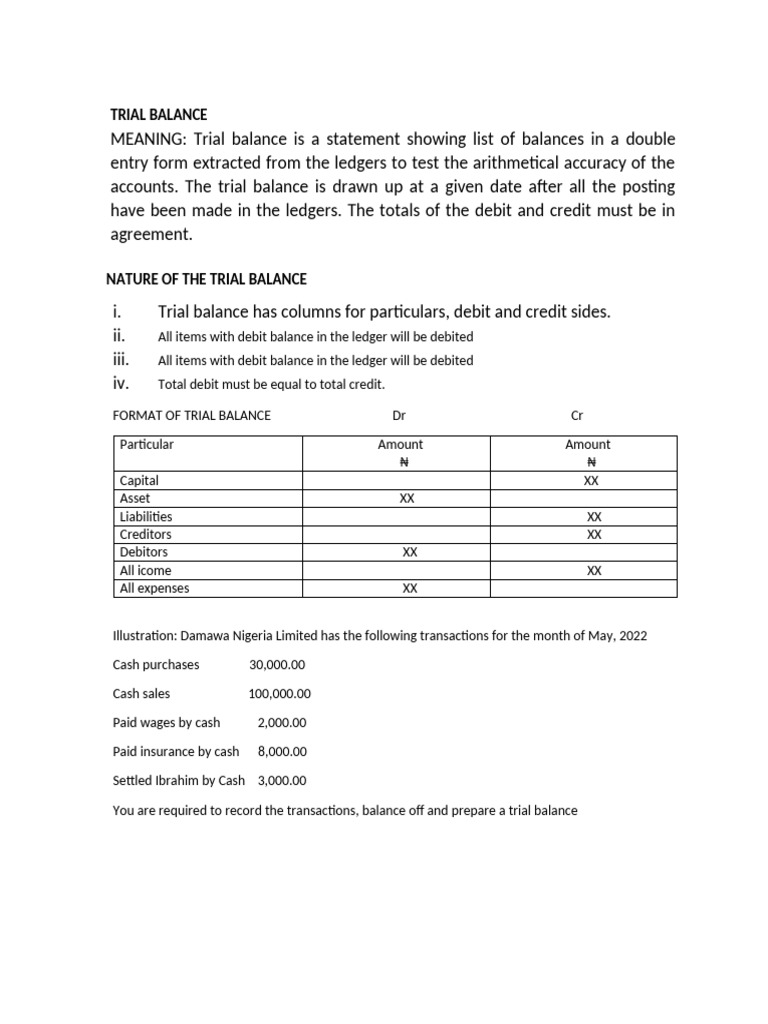 Understanding Trial Balance Basics | PDF