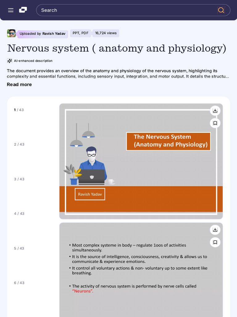 Nervoussystem (Anatomyandphysiology) PPT 1760100138795 | PDF | Chemical ...