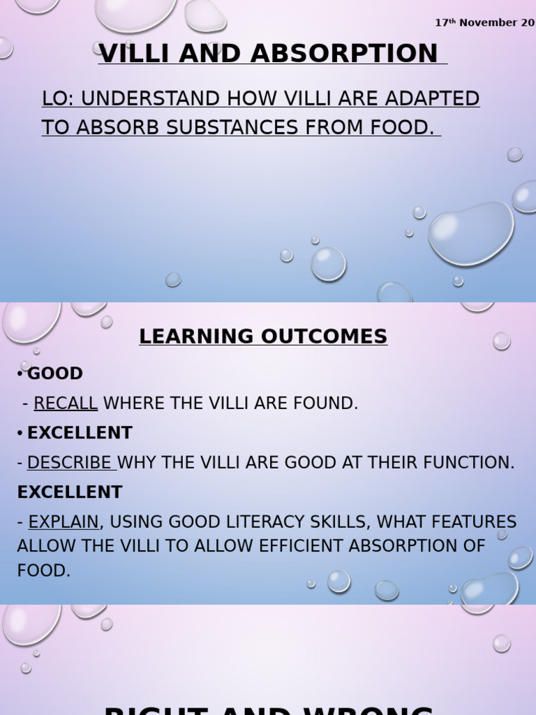 2£Villi-and-Absorption | PDF | Small Intestine | Digestion