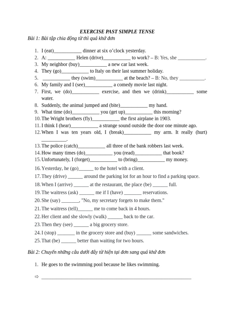 Past Simple Tense Exercises | PDF