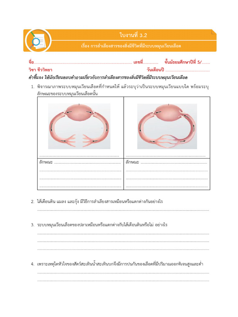 Assignment U3-2 M5 Book2 | PDF