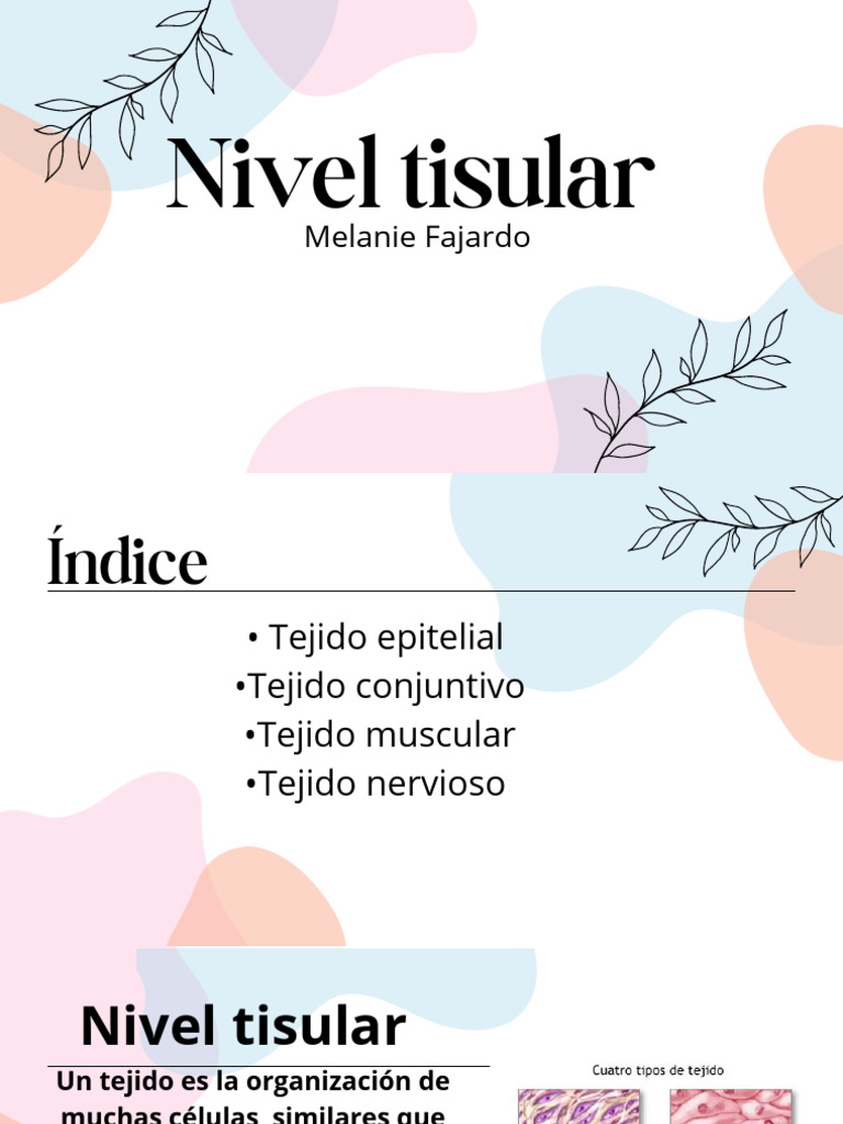 Nivel Tisular - 20251130 - 155950 - 0000 | PDF