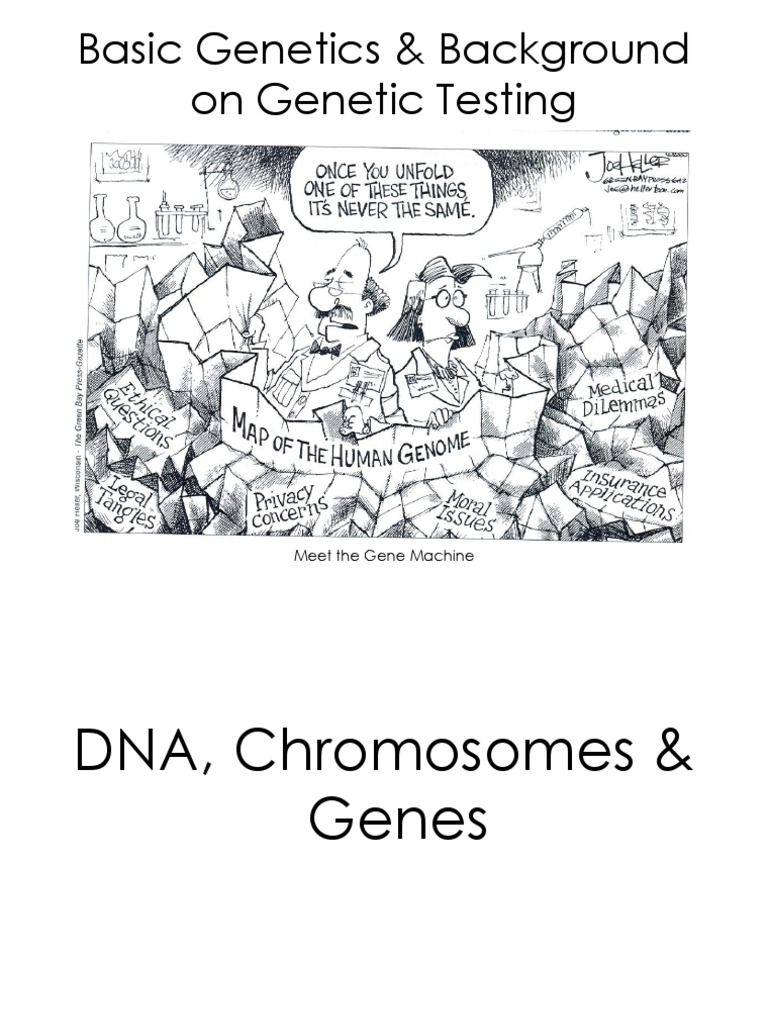 Basic Genetics & Background On Genetic Testing: Meet The Gene Machine ...