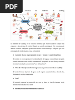 Triada de Cushing y su Fisiopatología | PDF | Hipertensión | Anatomía ...