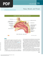 MASA: Swallowing Ability Assessment Guide | PDF | Tongue | Respiratory ...