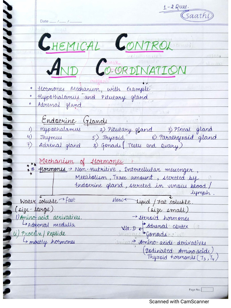 Chemical Control and Coordination(3) | PDF