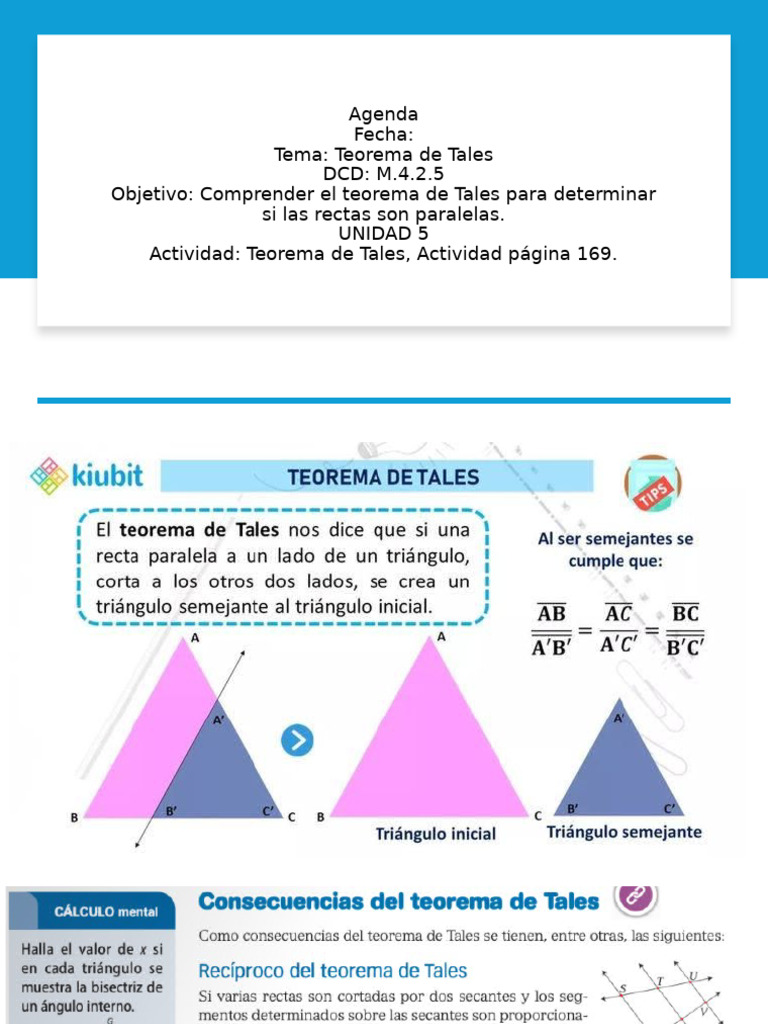 Teorema de Tales | PDF