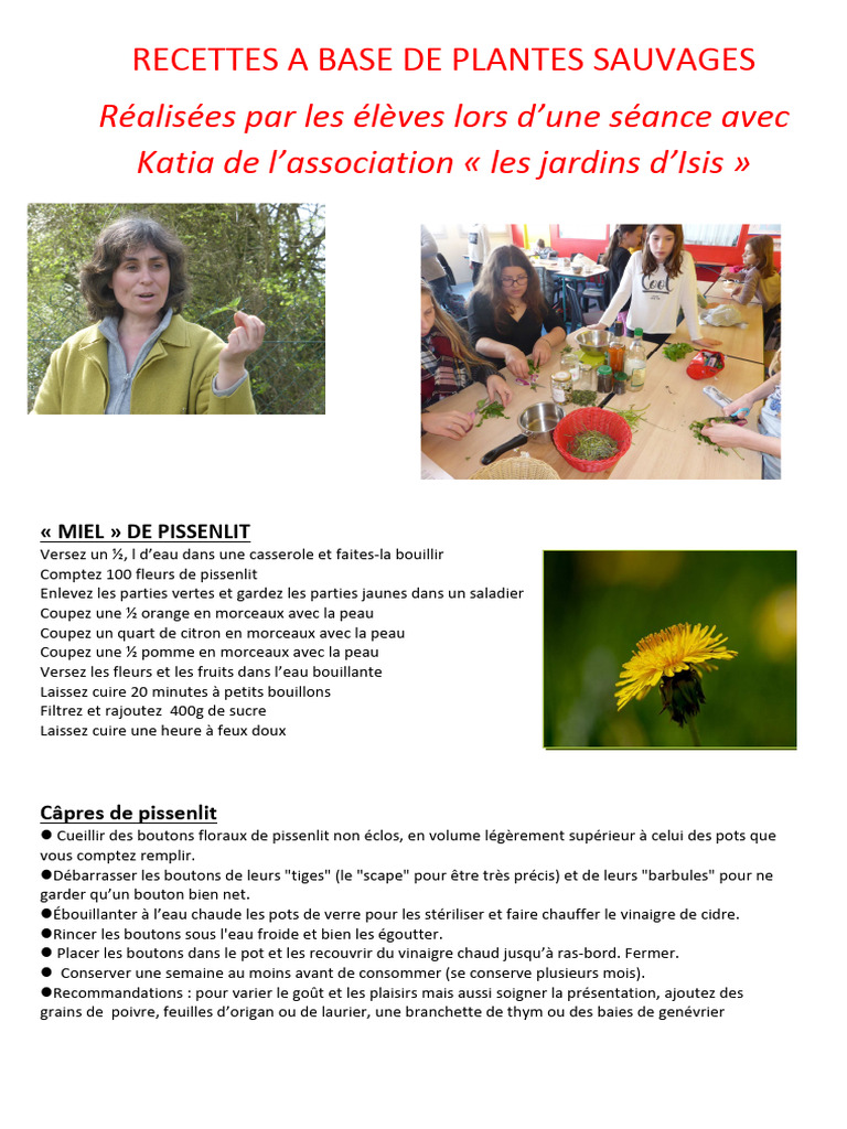 Recettes Savoureuses de Plantes Sauvages | PDF