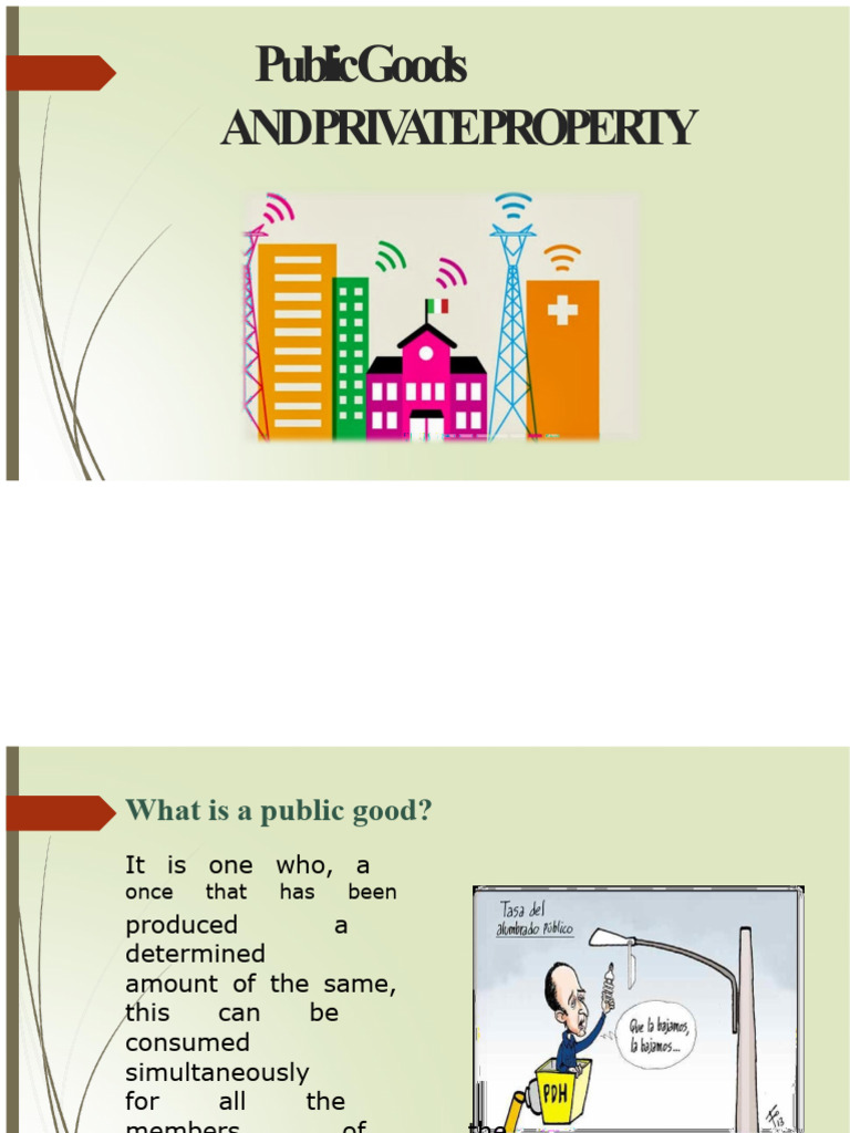 Understanding Public Goods and Property | PDF | Public Good | Goods