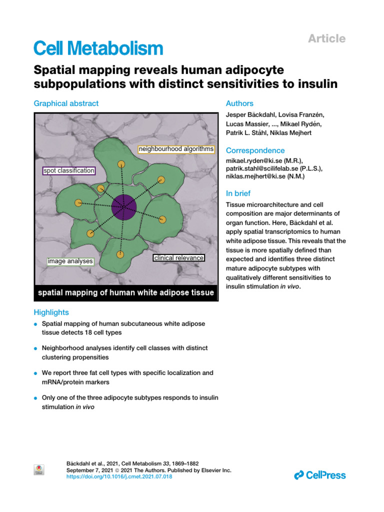 Spatial Mapping Reveals Human Adipocyte Subpopulations With Distinct ...
