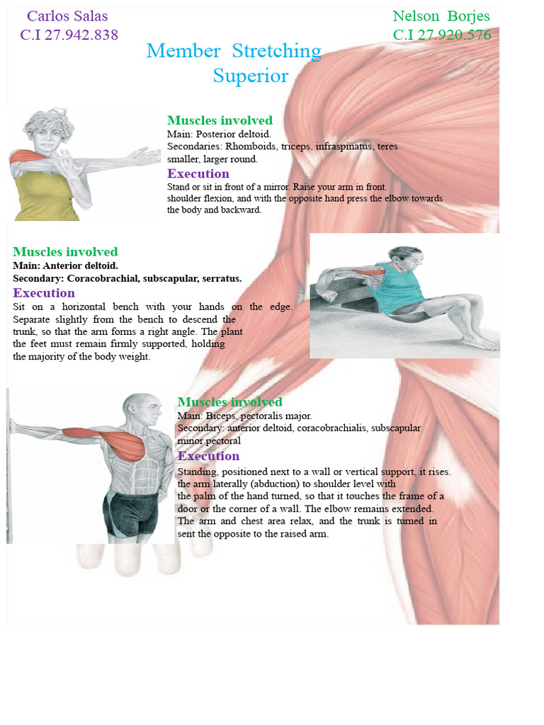 Upper Limb Stretching Application | PDF | Anatomical Terms Of Motion | Hand