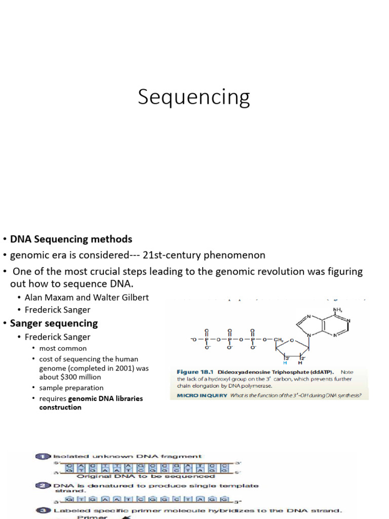 Methods of Sequencing | PDF | Dna Sequencing | Dna Microarray
