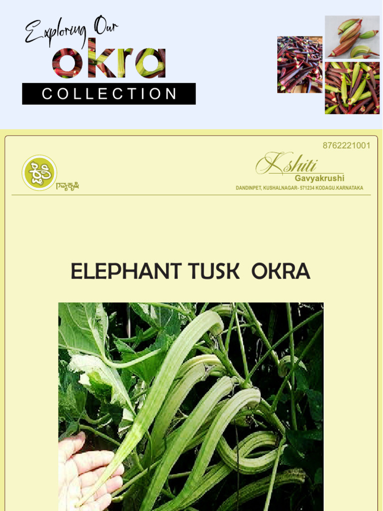 Diverse Okra Varieties from Karnataka | PDF | Crops | Non Food Crops