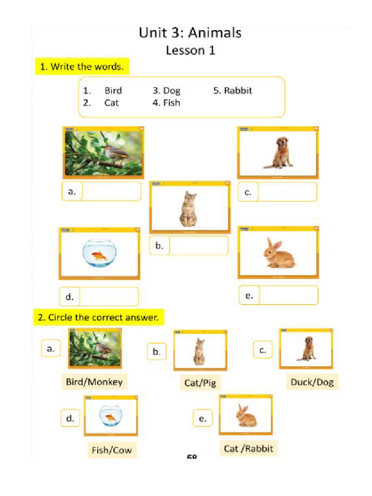 Animals | PDF