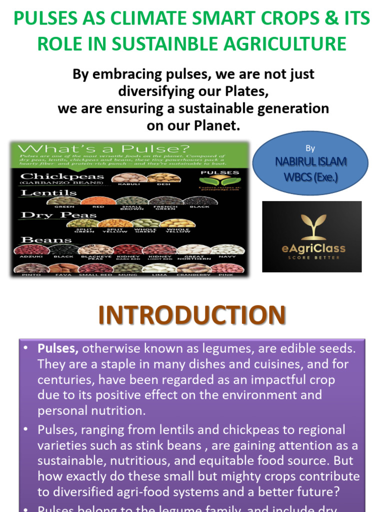 Pulses: Climate-Smart Sustainable Crops | PDF | Legume | Agriculture