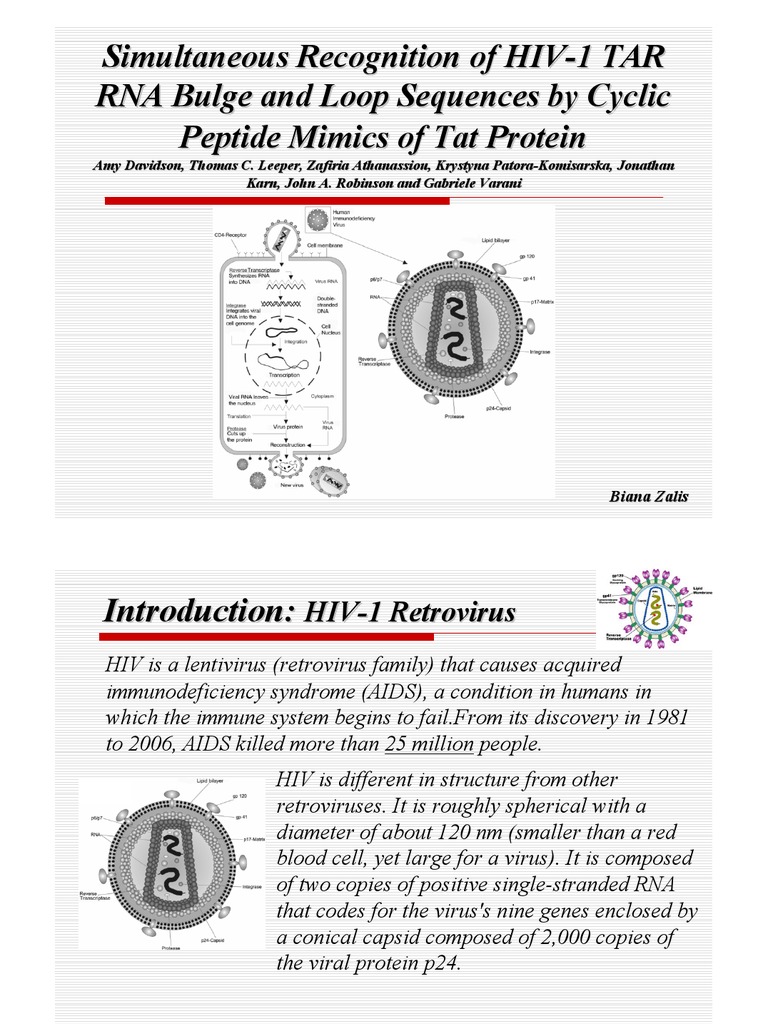 Simultaneous Recognition of HIV - 1 Tar RNA Bulge and Loop Sequences by ...