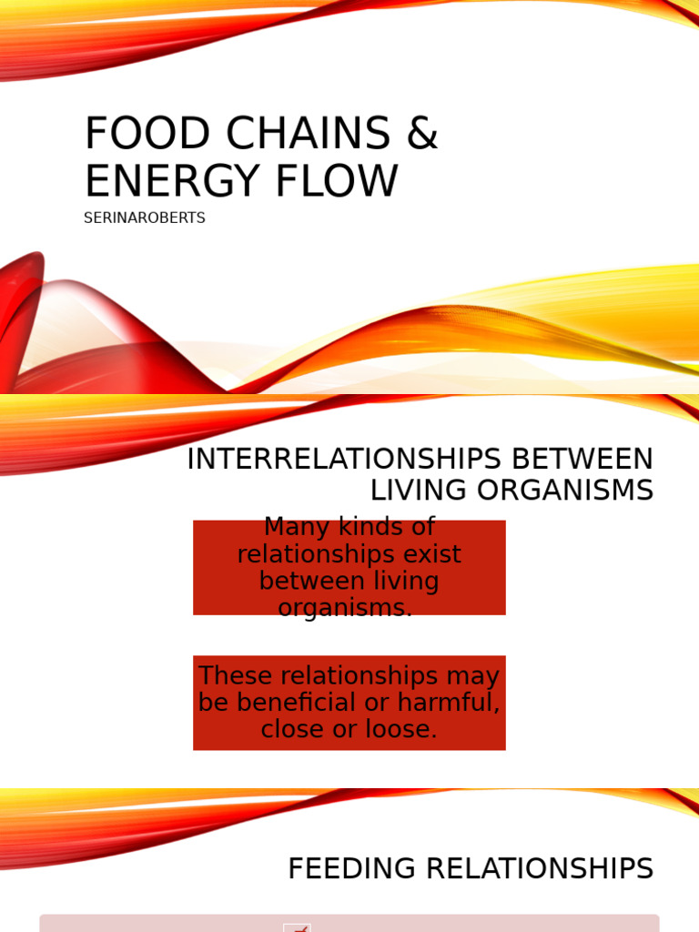 9food Chains and Energy Flow | PDF | Predation | Food Web