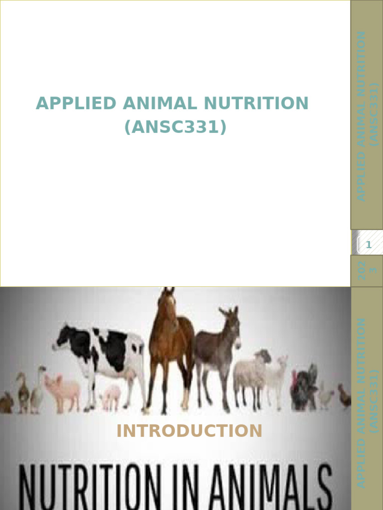 Common Terms in Animal Nutrition | PDF | Animal Feed | Nutrition