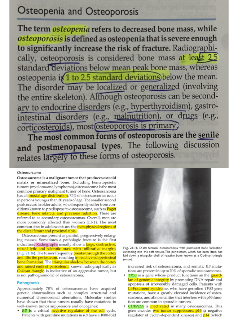 MSK | PDF
