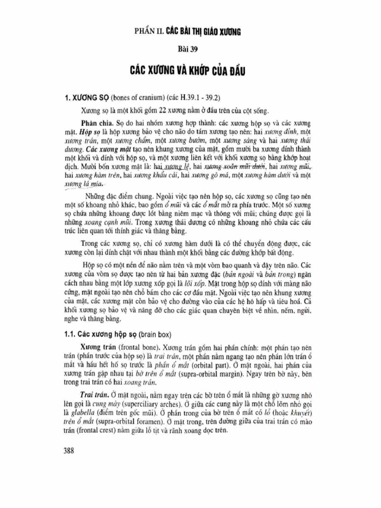 Giai Phau Nguoi-DH Y HN | PDF