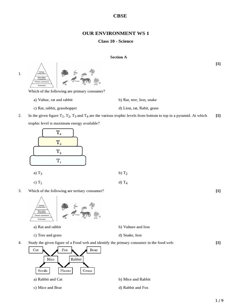 CBSE Class 10 Science: Ecosystem Concepts | PDF | Food Web | Ecosystem