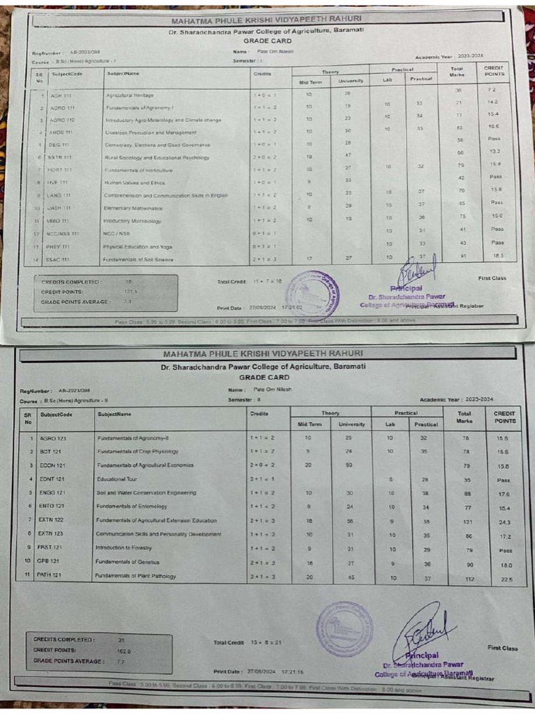 Grade Card PDF | PDF