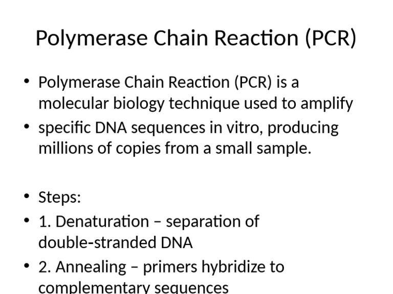 PCR Exam Term | PDF