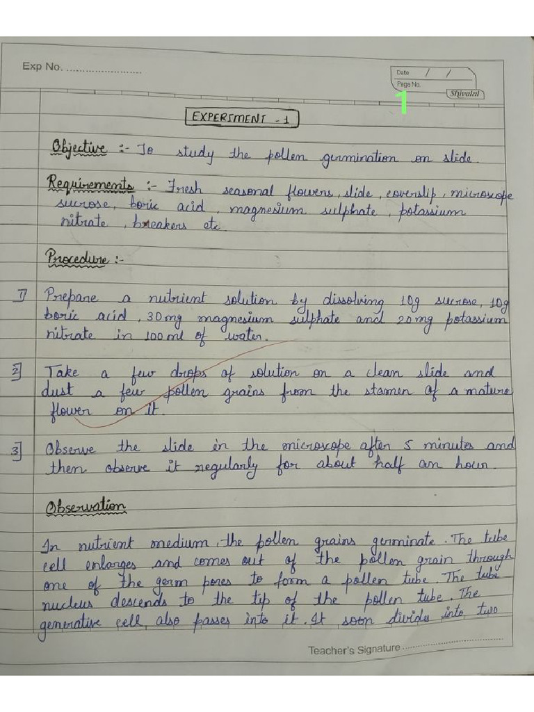 12 Bio - Practical Experiment 1to5 | PDF
