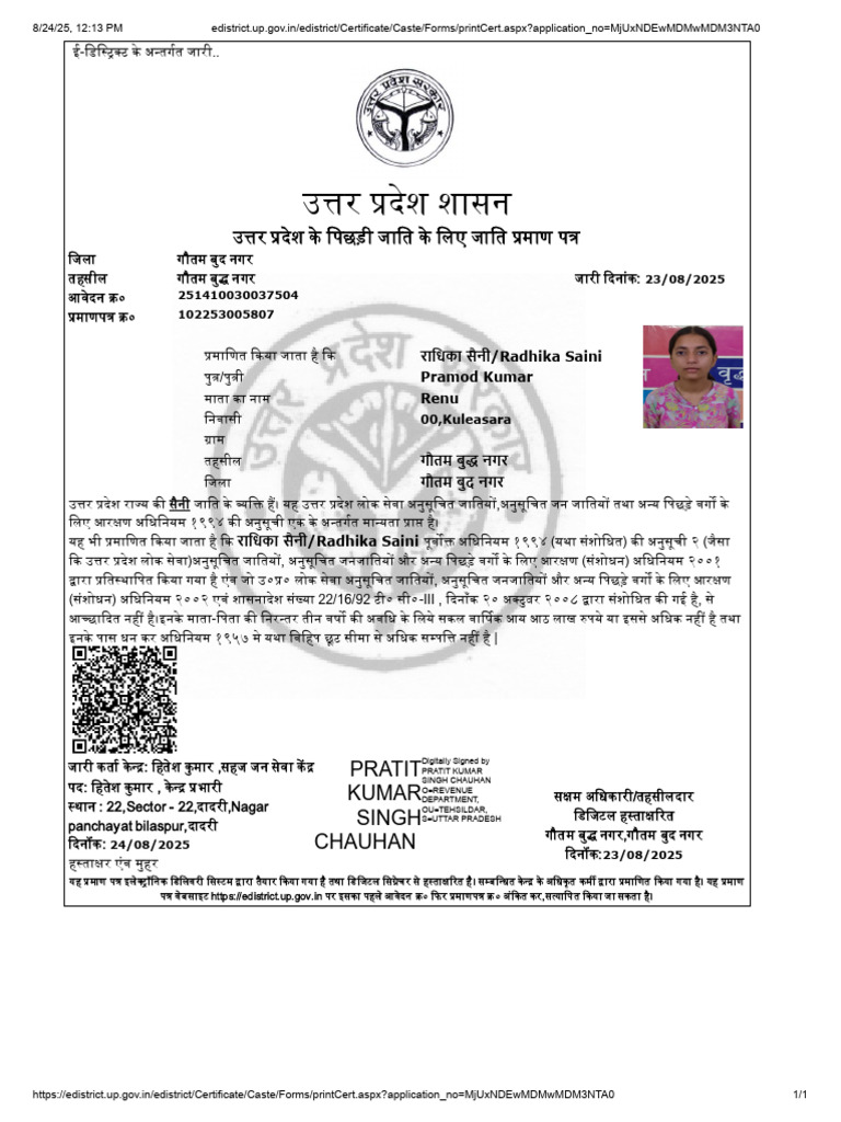 Saini | PDF