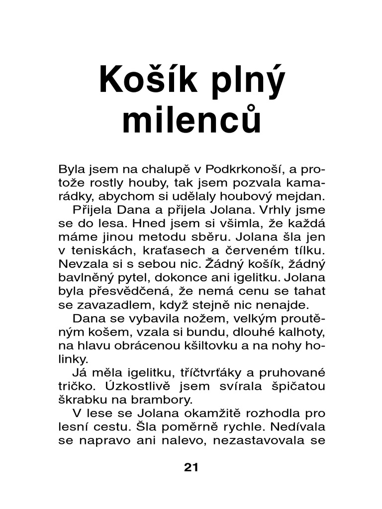 Ukázka | PDF