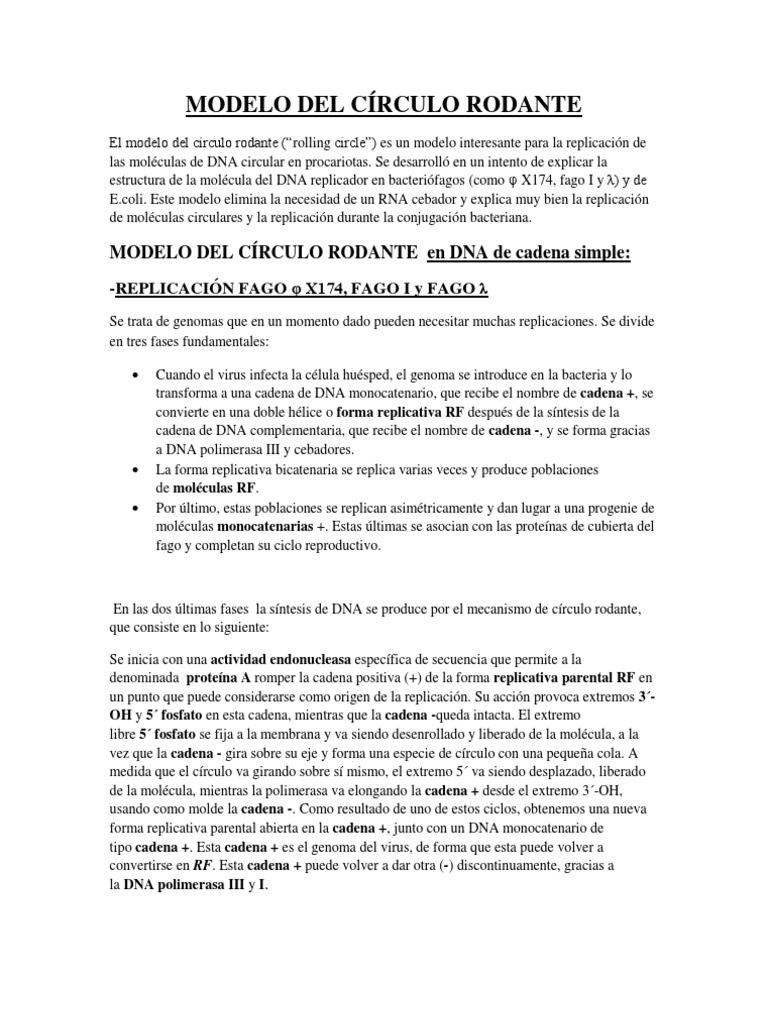 Modelo Del Círculo Rodante | PDF | Replicación De Adn | Adn