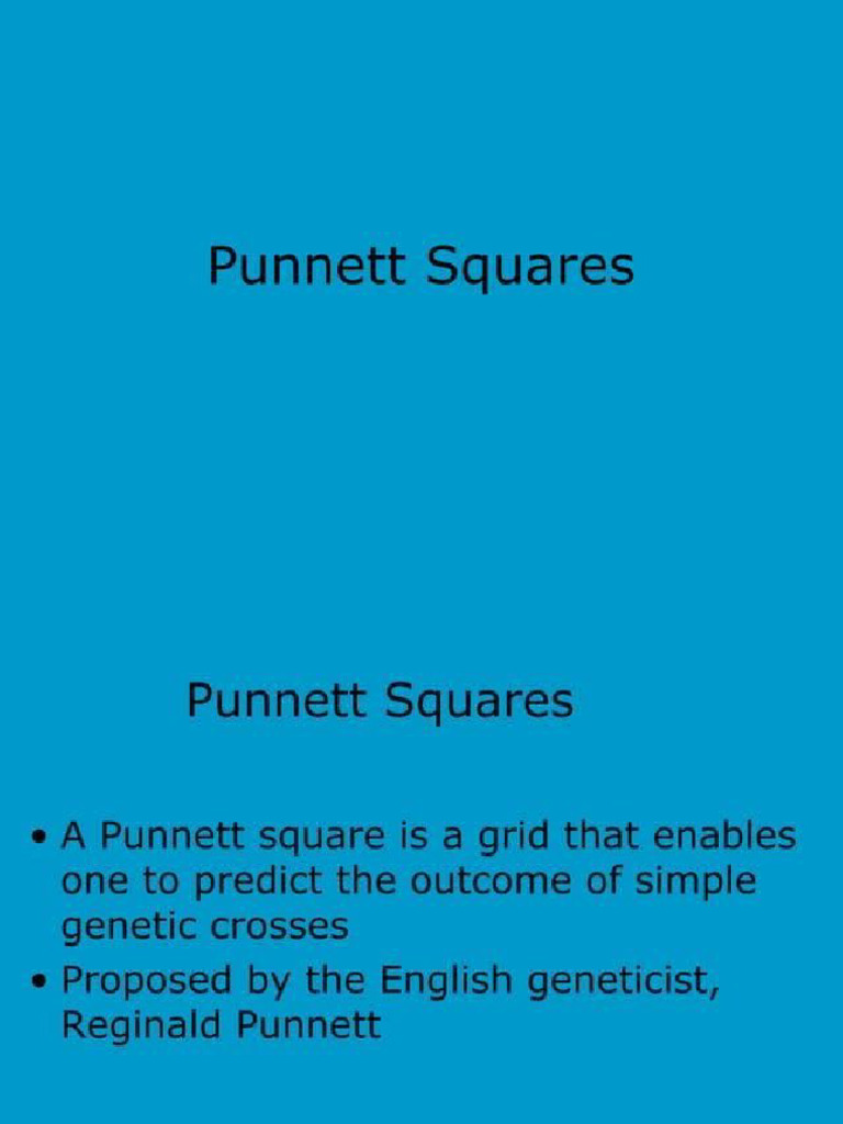 Punnet Square | PDF
