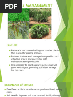 Veld Management Principles and Practices | PDF | Grazing | Erosion