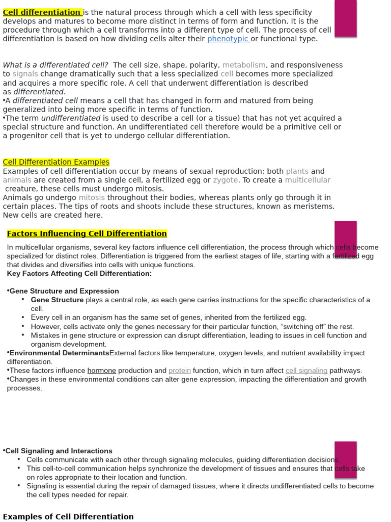 Understanding Cell Differentiation Process | PDF | Cellular ...
