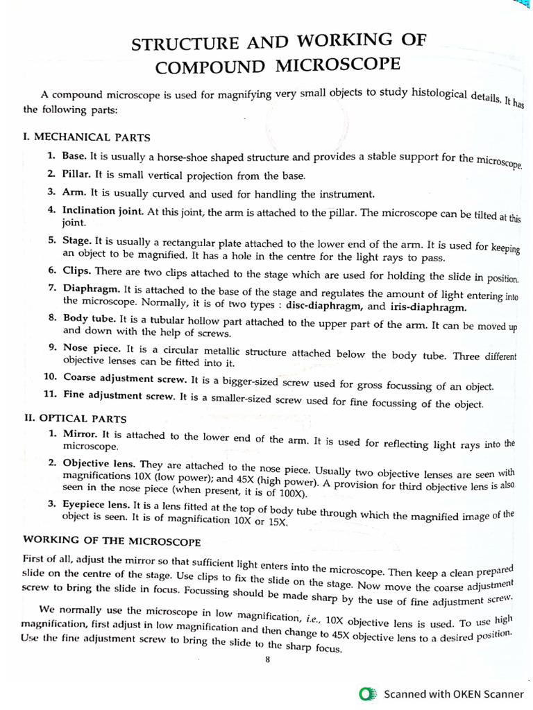 Class X (Biology Practical Work)-Microscope | PDF