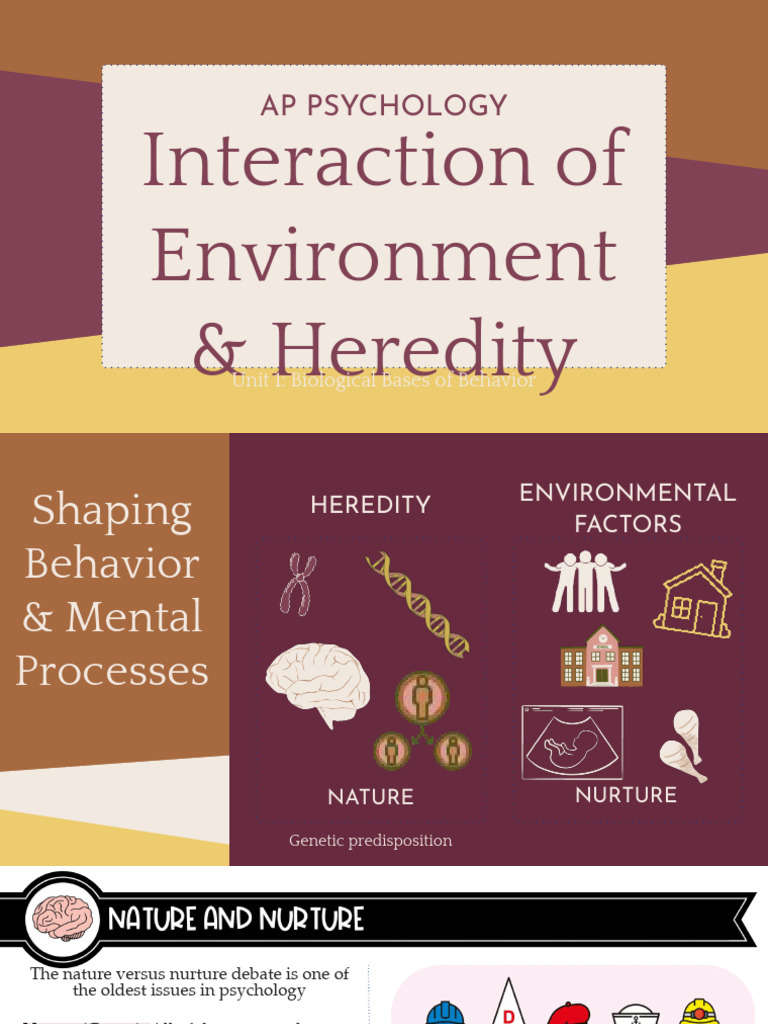1.1 Interaction of Environment & Heredity | PDF | Nature Versus Nurture ...