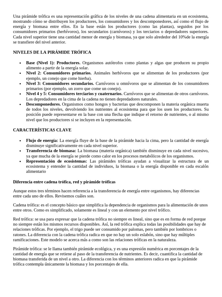 Pirámide Trófica: Niveles y Características | PDF | Red alimentaria ...