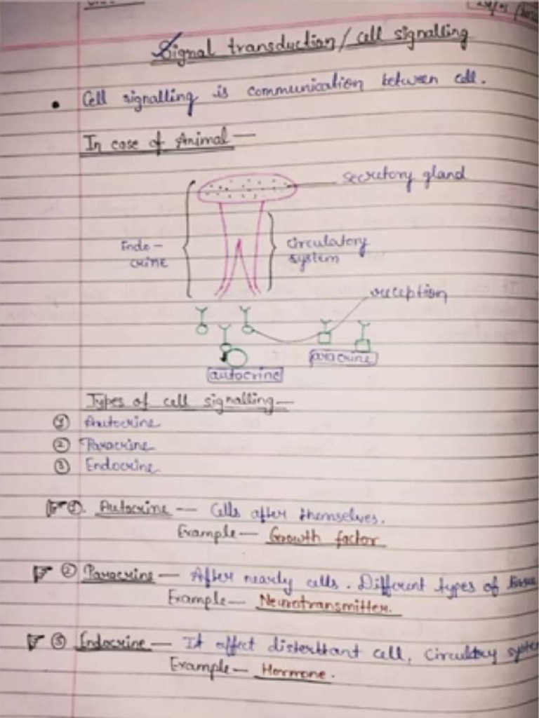 Assignment - 1 Receptor Signalling Pathways - Compressed | PDF