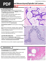 Endophytic vs Exophytic Tumors Explained | PDF