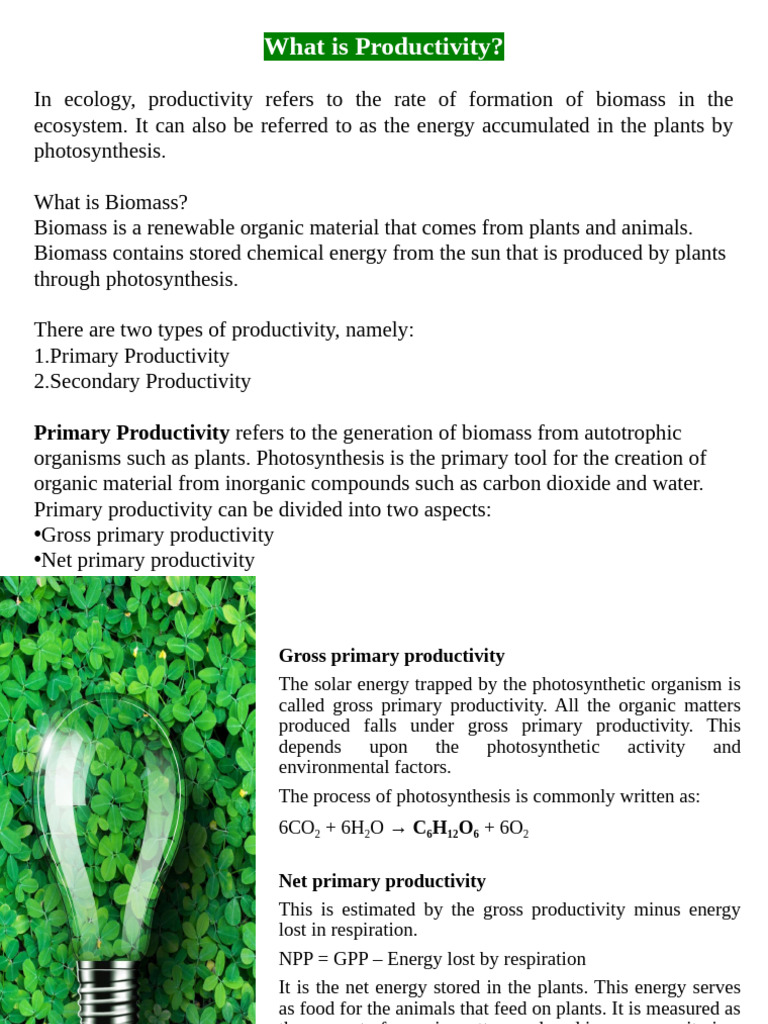Unit 2 Productivity - Year 1 | PDF | Primary Production | Forests