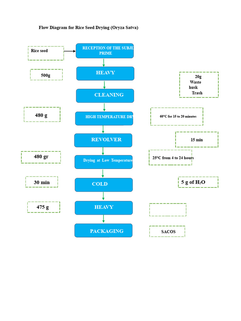 Flow Diagram of Rice Seed Drying | PDF | Rice | Clothes Dryer