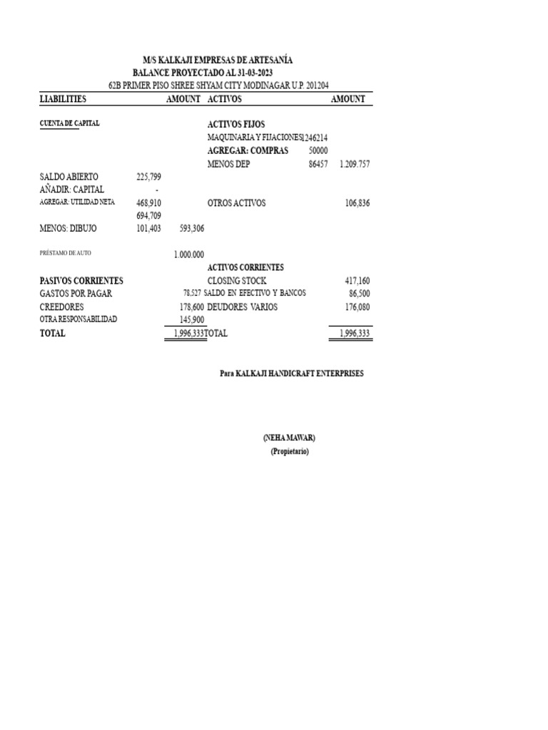 Balance General Proyectado | PDF | Hoja de balance | Business