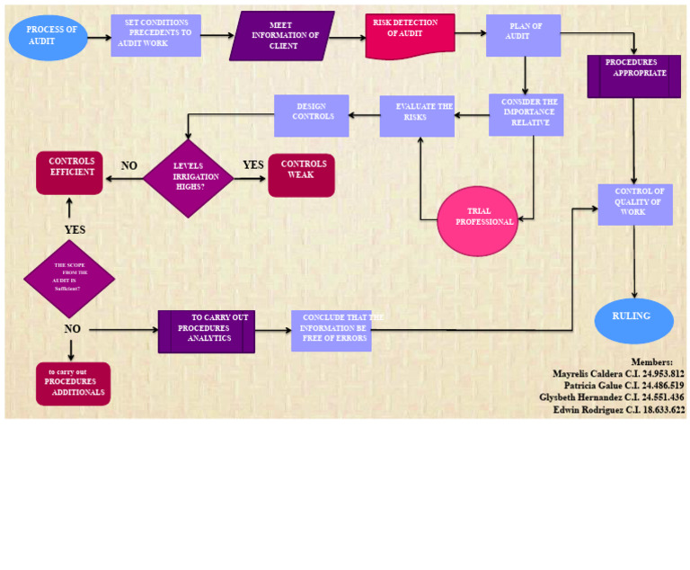 Flowchart of the Audit Process. | PDF | Audit