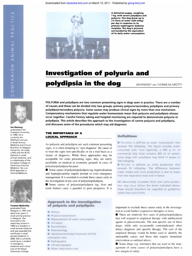 Investigation of Polyuria and Polydipsia The Dog: Definitions | PDF ...
